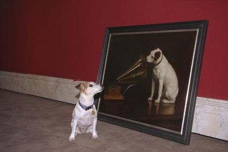 55 Nipper the dog Stock Pictures, Editorial Images and Stock Photos ...