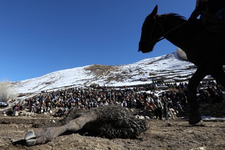 Carcass Headless Goat Lies On Buzkashi Editorial Stock Photo - Stock ...