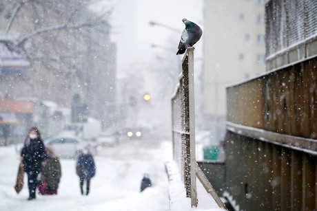 Heavy snow in Warsaw, Poland - 17 Feb 2021 Stock Pictures, Editorial ...