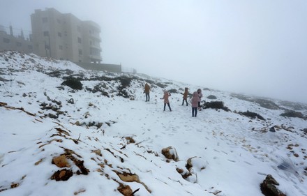 500 Snow balls Stock Pictures, Editorial Images and Stock Photos ...