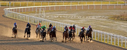 Hunters Step Grace Mcentee Wins Racing Editorial Stock Photo - Stock ...