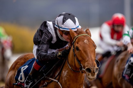 Dundalk Racing, Dundalk Racecourse, Co. Louth - 19 Feb 2021 Stock ...