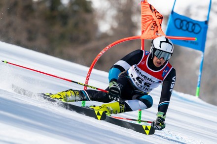 Itamar Biran Isr Competing Telepass Fis Editorial Stock Photo - Stock ...