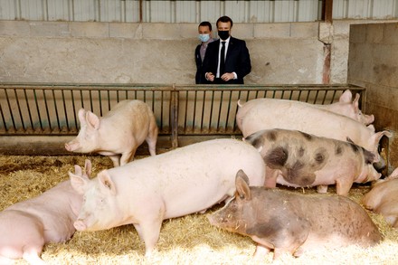 French President Emmanuel Macron visits farm in Burgundy, Etaules ...
