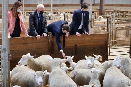French President Emmanuel Macron visits farm in Burgundy, Etaules ...
