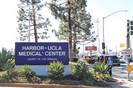 79 Harbor ucla medical center Stock Pictures, Editorial Images and ...