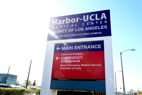 79 Harbor ucla medical center Stock Pictures, Editorial Images and ...