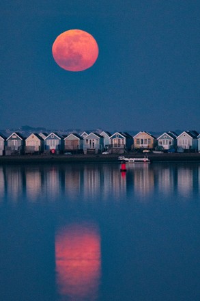 250 Christchurch bay Stock Pictures, Editorial Images and Stock Photos ...