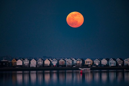 250 Christchurch bay Stock Pictures, Editorial Images and Stock Photos ...