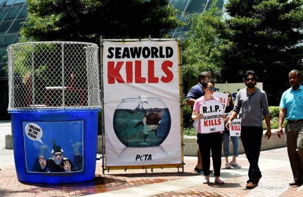 PETA Protest Of SeaWorld In Orlando, United States - 20 Jun 2019 Stock ...
