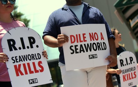 PETA Protest Of SeaWorld In Orlando, United States - 20 Jun 2019 Stock ...