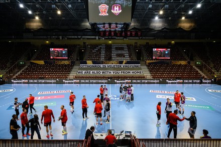 Players Two Teams Stand Field Ehf Editorial Stock Photo - Stock Image ...