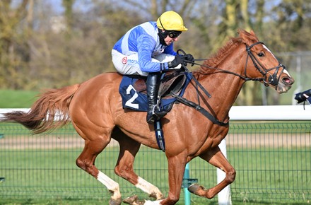 Horse Racing from Huntingdon Racecourse, UK - 07 Mar 2021 Stock ...
