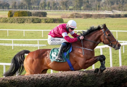 Navan Racing - Pre-Cheltenham Raceday, Navan Racecourse, Navan, Co ...