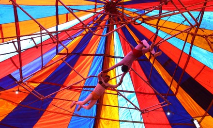 Artists Perform During Show Amar Circus Editorial Stock Photo - Stock ...