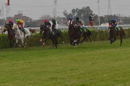 __COUNT__ imágenes de JDW Pakistan annual Derby Horse Race, Lahore ...