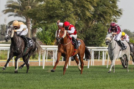 Horse Racing, Abu Dhabi, United Arab Emirates - 14 Mar 2021 Stock ...