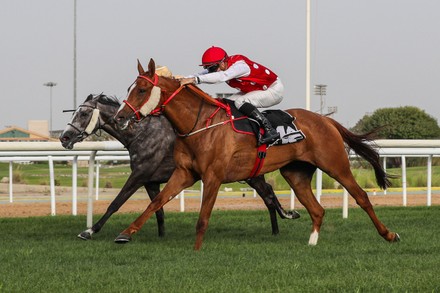Horse Racing, Abu Dhabi, United Arab Emirates - 14 Mar 2021 Stock ...