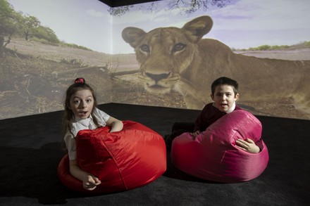13 Carbrain primary school Stock Pictures, Editorial Images and Stock ...
