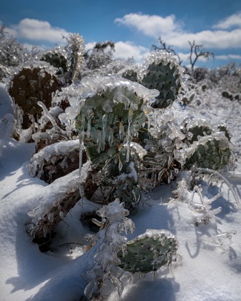 Texas Ice Storm Power Outage That Editorial Stock Photo - Stock Image ...