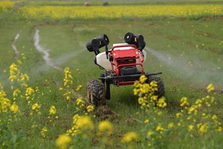 Unmanned Crop Protection Machine Works On Editorial Stock Photo - Stock ...
