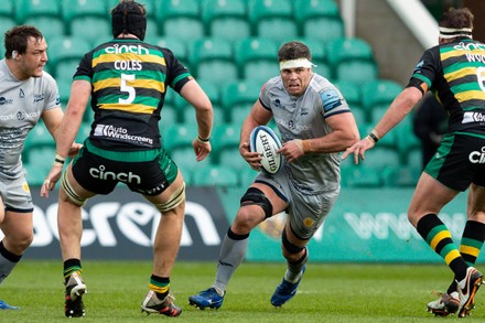 Jono Ross Sale Sharks Runs Into Editorial Stock Photo - Stock Image ...