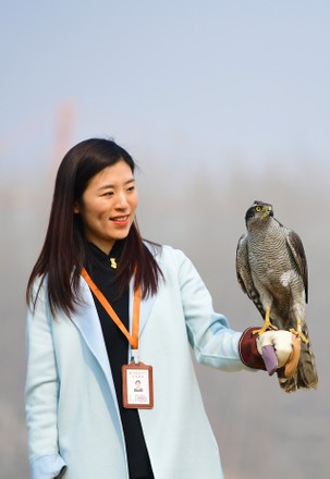 China Shenyang Raptors Release - 14 Mar 2021 Stock Pictures, Editorial ...