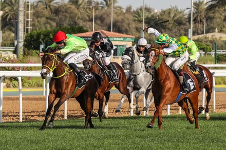 Horse Racing, Abu Dhabi, United Arab Emirates - 21 Mar 2021 Stock ...