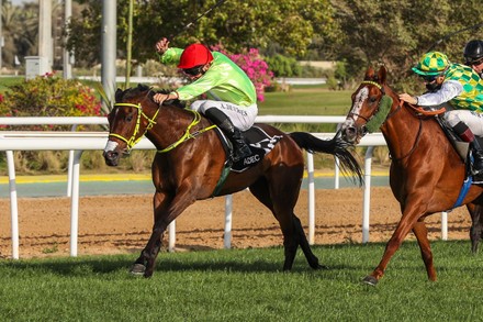 Horse Racing, Abu Dhabi, United Arab Emirates - 21 Mar 2021 Stock ...