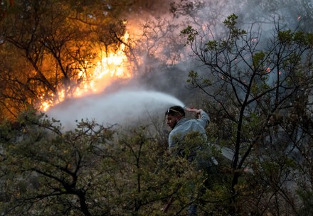 fires mexico Stock Photos (Exclusive) | Shutterstock