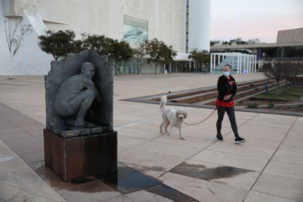 Woman Walking Her Dog Looks Protest Editorial Stock Photo - Stock Image ...