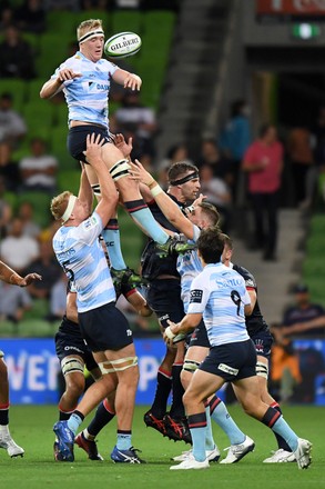 Hugh Sinclair Waratahs Wins Line Out Editorial Stock Photo - Stock ...
