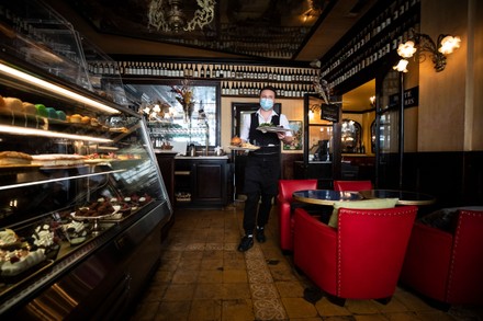 Chef Displays Fresh Pastries Cakes Figaro Editorial Stock Photo - Stock ...