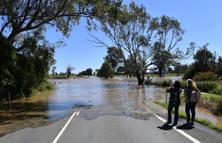 People Look Flood Waters Logan River Editorial Stock Photo - Stock ...