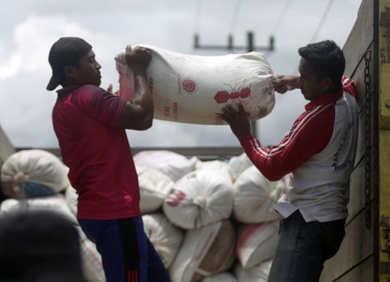 Indonesian rice production growing, Samahani, Indonesia - 29 Mar 2021 ...