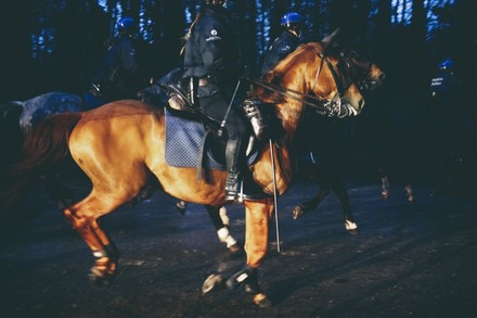 250 Crowd dispersal Stock Pictures, Editorial Images and Stock Photos ...