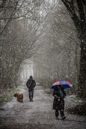 Snow During Busy Morning Rush Hour Editorial Stock Photo - Stock Image ...