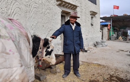 210407 Lhasa April 7 2021 Xinhua Editorial Stock Photo - Stock Image ...