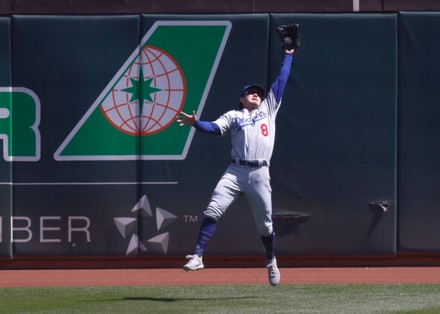 Los Angeles Dodgers Left Fielder Zach Editorial Stock Photo - Stock ...