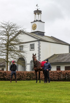 750 Ballydoyle Stock Pictures, Editorial Images and Stock Photos ...