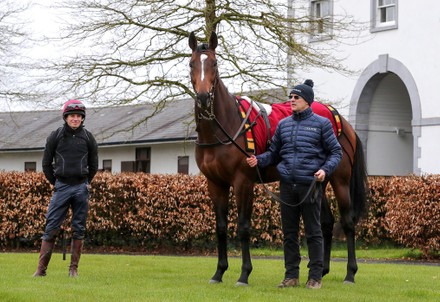 750 Ballydoyle Stock Pictures, Editorial Images and Stock Photos ...