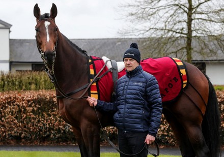 750 Ballydoyle Stock Pictures, Editorial Images and Stock Photos ...