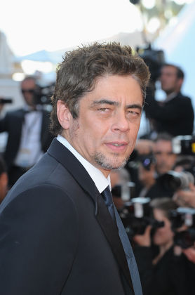 Benicio Del Toro Editorial Stock Photo - Stock Image | Shutterstock