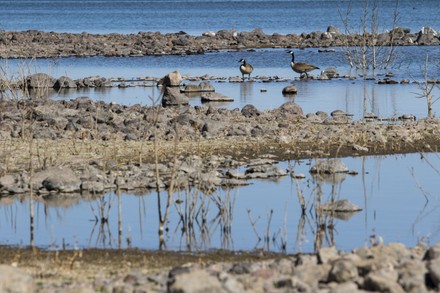 46 Shallow water bodies Stock Pictures, Editorial Images and Stock ...