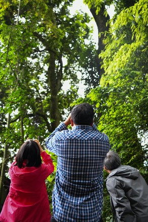 Gu Haiyan Xie Kongping Li Cehong Editorial Stock Photo - Stock Image ...
