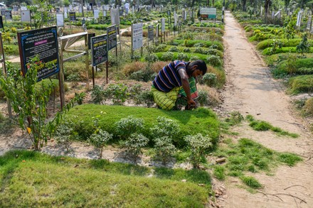 Gravedigger Worker Maintain Grave Rayer Bazar Editorial Stock Photo ...