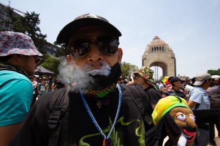 500 Pro marijuana Stock Pictures, Editorial Images and Stock Photos ...