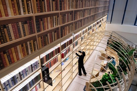 Yu Bing Organizes Books On Bookshelf Editorial Stock Photo - Stock ...