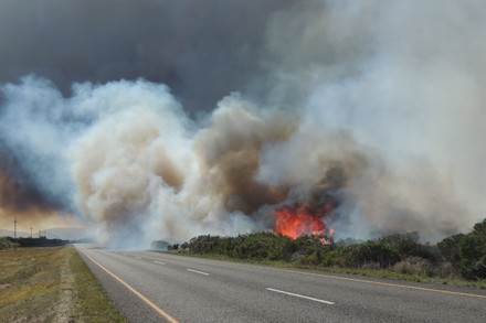 Veld fire, R43 road, Pearly Beach, Western Cape, South Africa - 02 Mar ...