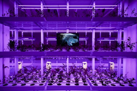 Venue Daniel Del Core Fashion Show Editorial Stock Photo - Stock Image ...